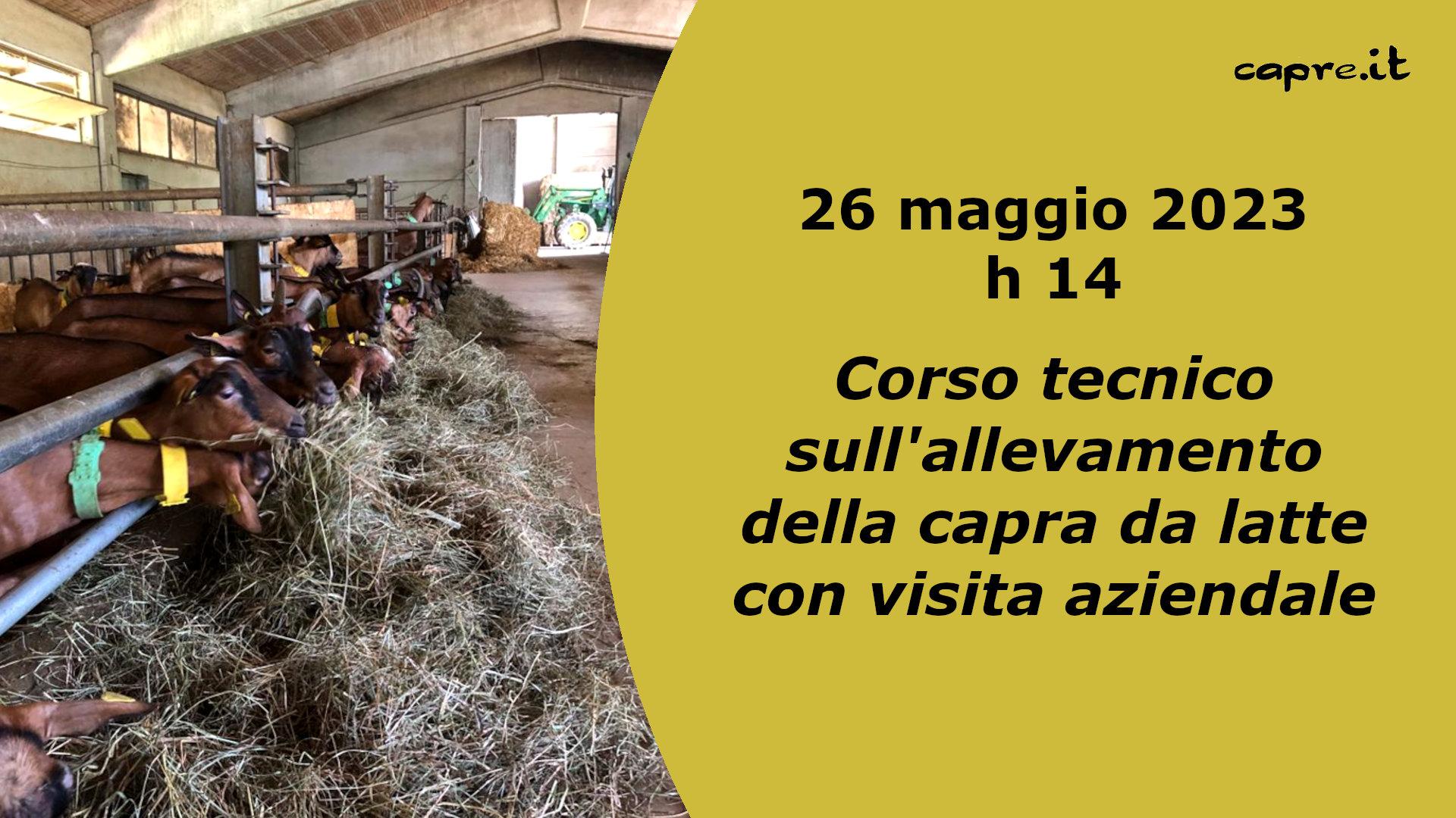 CORSO SULL’ALLEVAMENTO DELLA CAPRA DA LATTE CON VISITA AZIENDALE – Capre.it