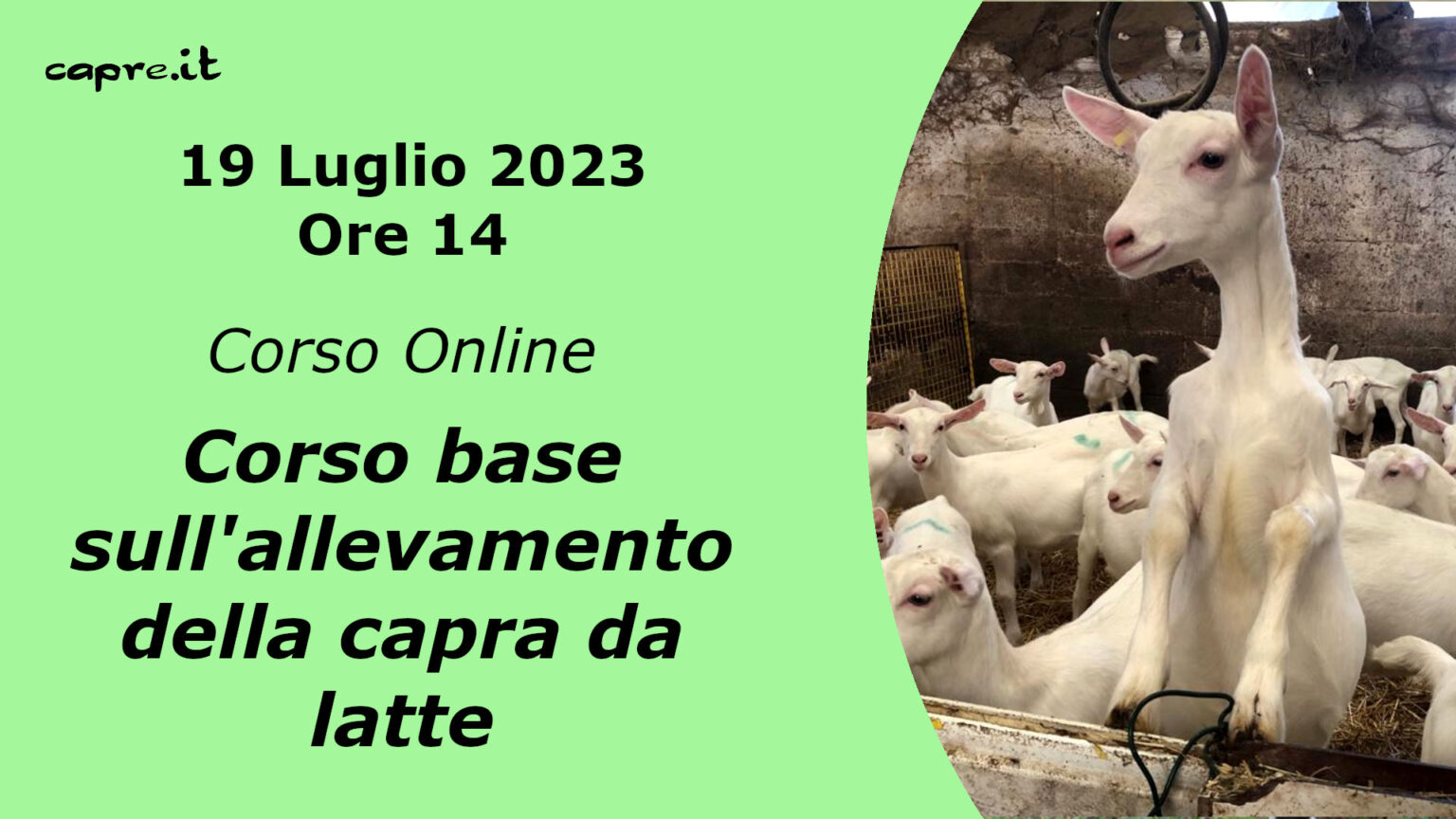 19 LUGLIO: CORSO BASE SULL’ALLEVAMENTO DELLA CAPRA DA LATTE – Capre.it